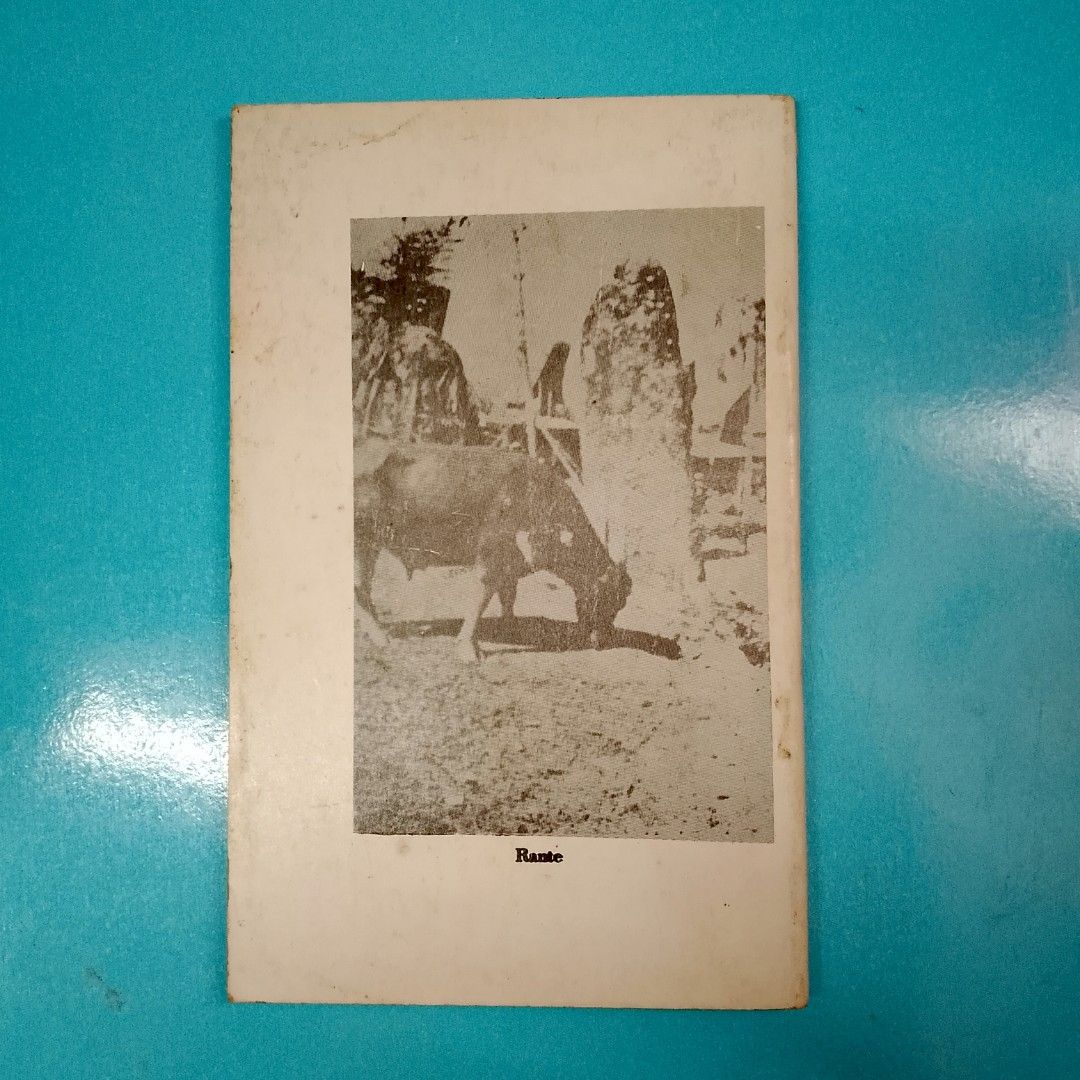 Mengenal Toraja, Hobbies & Toys, Books & Magazines, Storybooks on Carousell