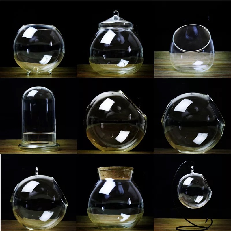 Pots & Planters: Terrarium Planters| Sphere Shape Glass Vase Globe Dome ...