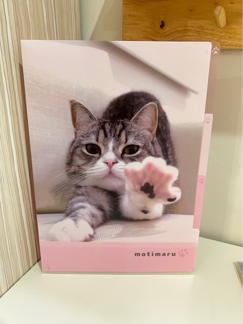 Kawaii Cat Motimaru Pink File Divider, Hobbies & Toys, Stationery ...