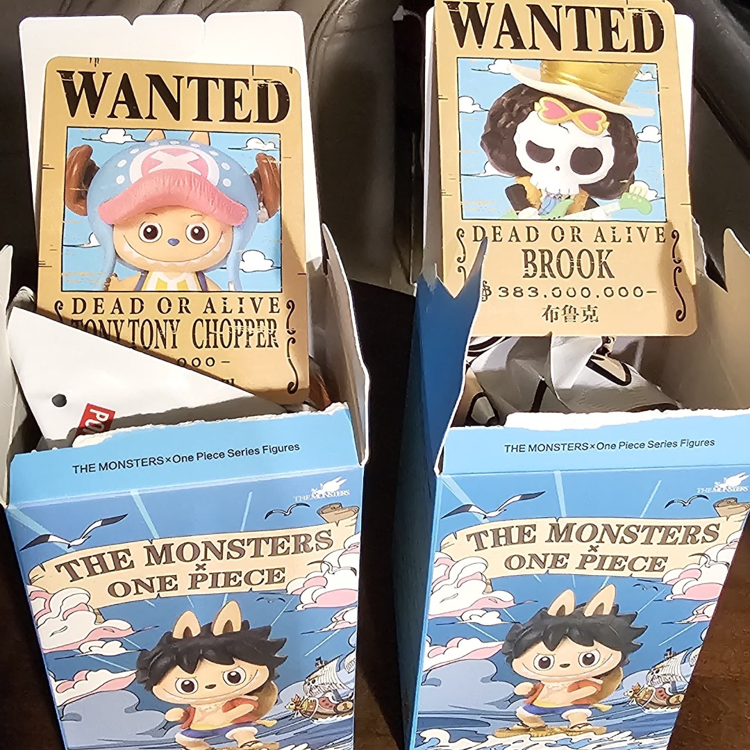 Labubu x One Piece Brook, Hobbies & Toys, Memorabilia & Collectibles ...