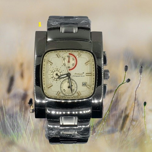 Promado Chronograph Men Stainless Steel Watch Citizen Movement, Men's ...