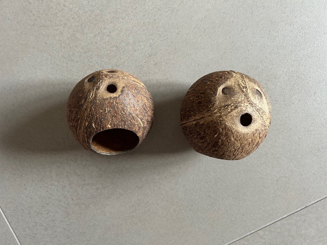 Hamster coconut house on Carousell