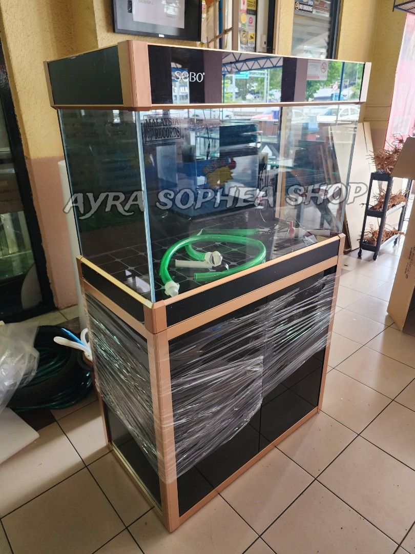📣SPAYLATTER Aquarium SOBO🔥, Pet Supplies, Homes & Other Pet Accessories ...