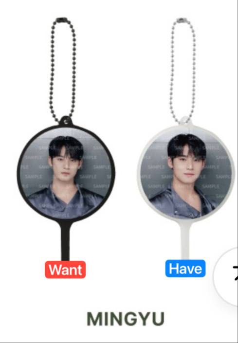 WTT SVT Right Here World Tour in Japan mini picket, Hobbies & Toys ...