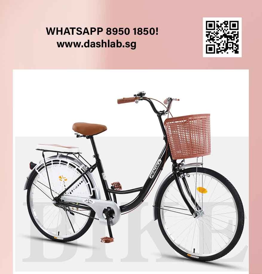 26 inch 1 Speed Lady Bike Women Bike 26 " rack seat lady children thermal 29 bag seat child kid ...