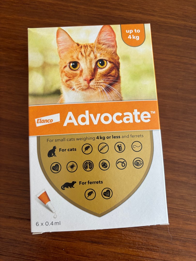 Advocate cat deworming solution, Pet Supplies, Health & Grooming ...