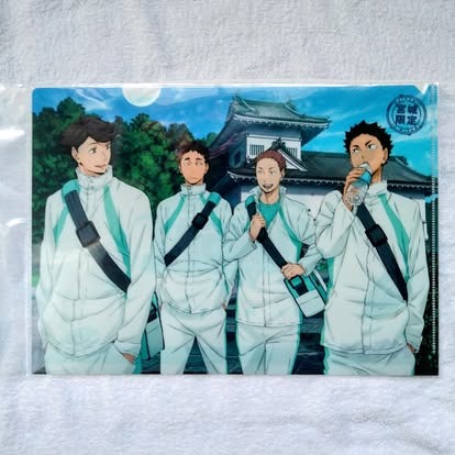 Haikyuu! Sendai Miyagi Exclusive Gotochi Aoba Josai (Seijoh) A4 Anime ...