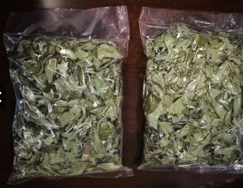 Laing 100g - Dried Gabi Leaves (Taro Leaves) from Bicol, Food & Drinks ...