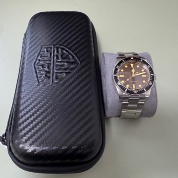 Watch dives WD7922(brown dial version) VH31 sweeping quartz diver, Men ...