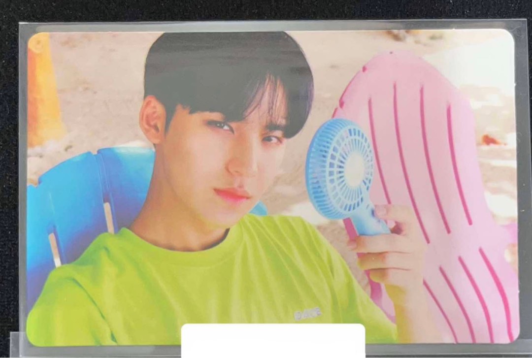 WTS LFB Mingyu Teenage Green Batangas PC, Hobbies & Toys, Memorabilia ...