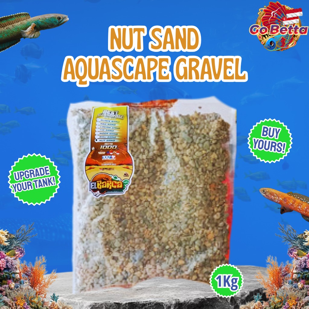 Aquarium Sand Aquascape Premium Ultra Fine Nut Sand | Natural Pasir ...