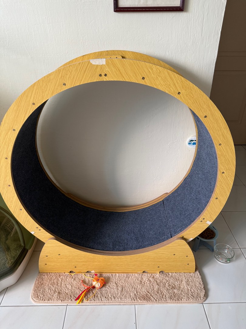 Cat treadmill, Pet Supplies, Homes & Other Pet Accessories on Carousell
