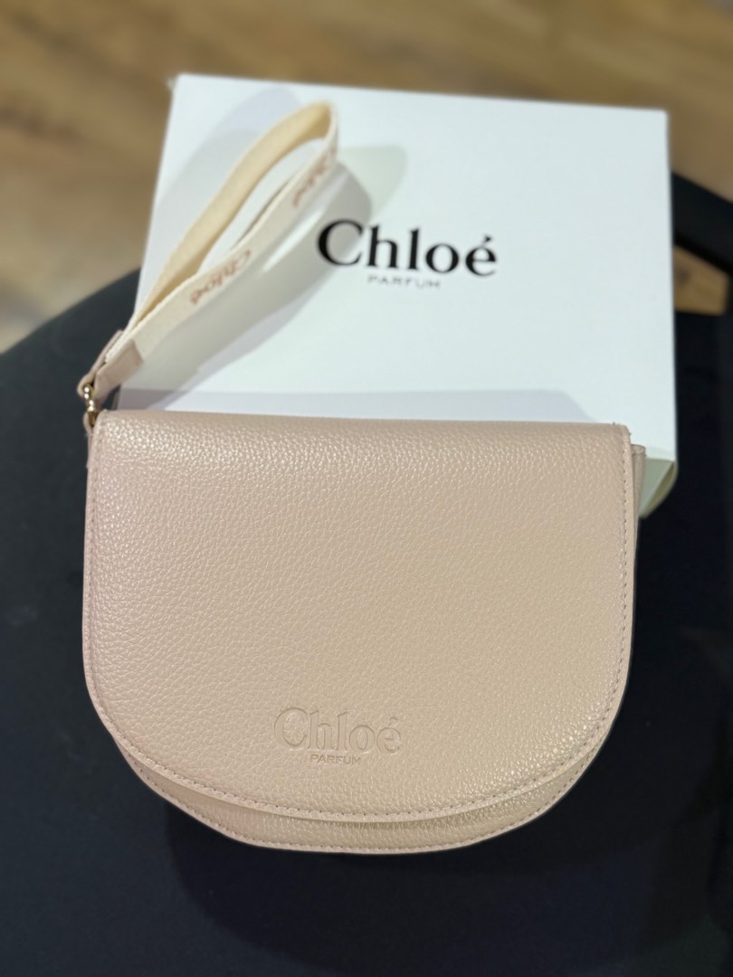 Chloe pouch, Women's Fashion, Bags & Wallets, Purses & Pouches on Carousell