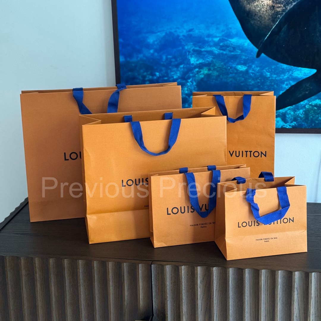 Louis Vuitton LV Paper Bag 16 pcs total various sizes ALL IN, Luxury ...