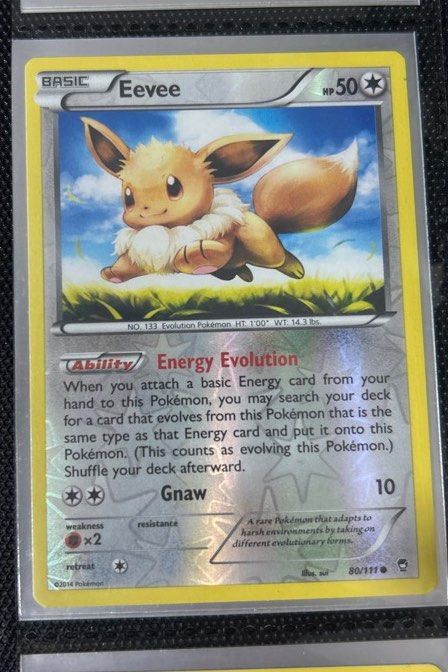 Pokemon Furious Fists | Eevee #80 Reverse Holo | Pokemon English | Team ...