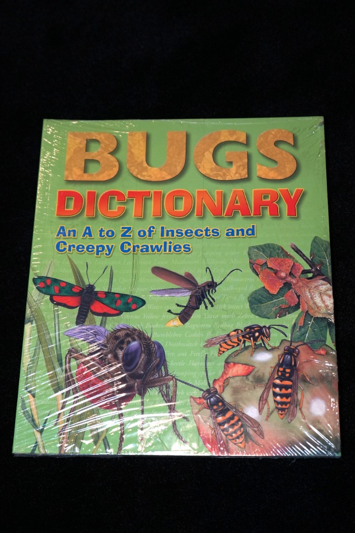Bug Dictionary: An A to Z of Insects and Creepy Crawlies, Babies & Kids ...