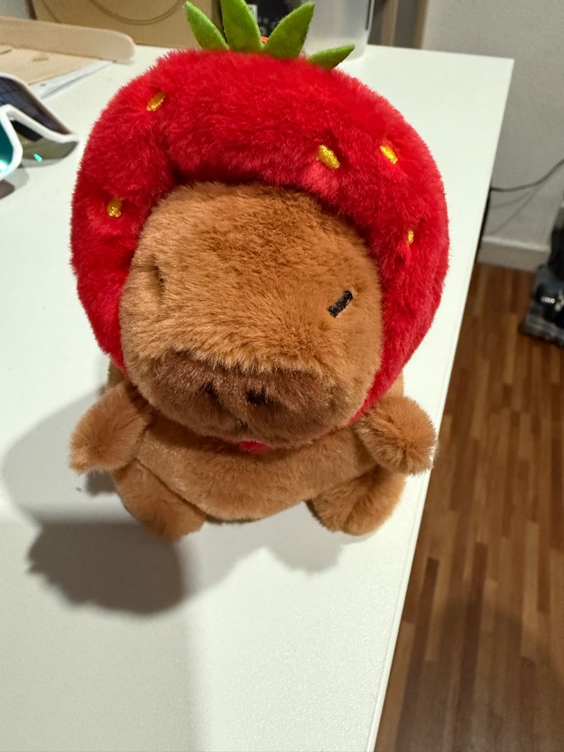 Cute Capybara [CASH ONLY], Hobbies & Toys, Stationery & Craft, Handmade ...