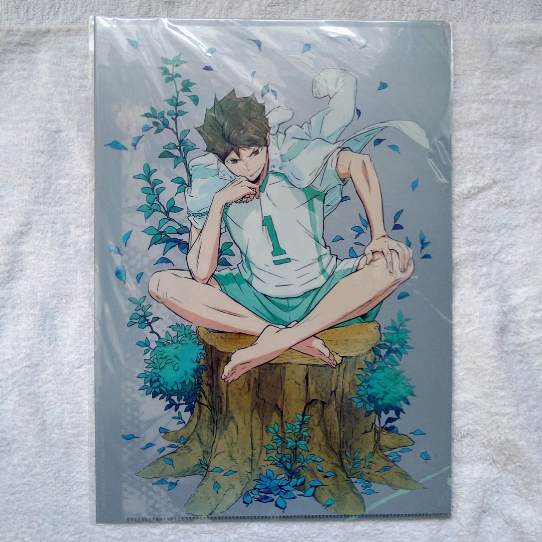 Haikyuu! To The Top Special Illustration Anime A4 File - Oikawa Tohru ...