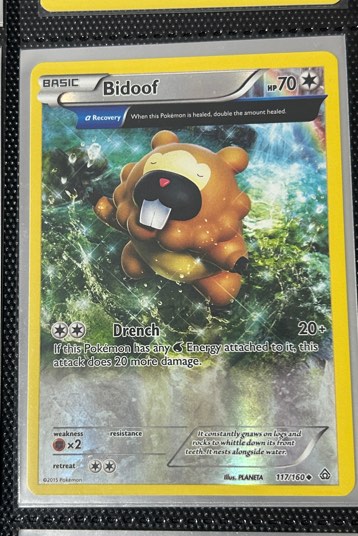 Pokemon Primal Clash | Bidoof #117 Reverse Holo | Pokemon English | Team Rocket | Destined ...