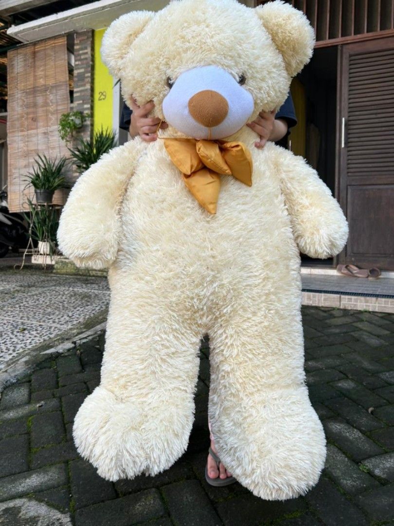 boneka beruang
