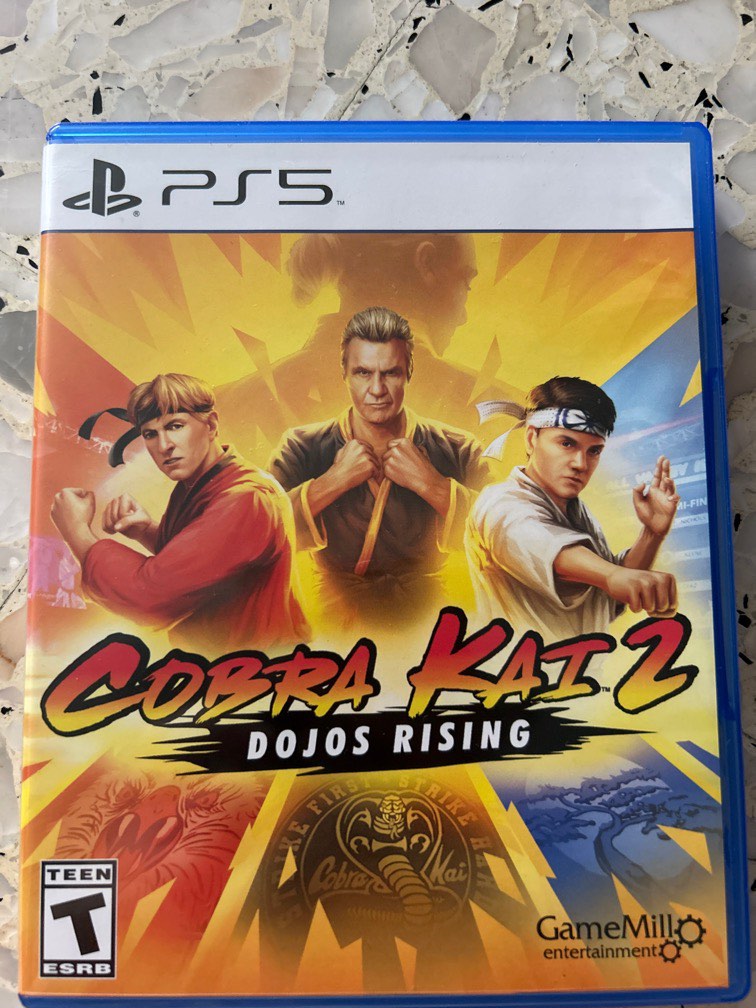 Cobra Kai 2 Dojos Rising, Video Gaming, Video Games, PlayStation on ...