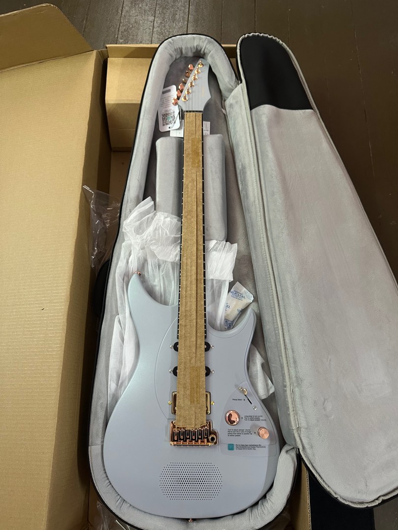 Enya Inspire Brazil guitarist signature custom model, special custom ...