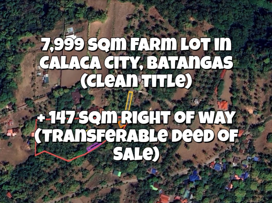 Farm Lot for Sale 7999 sqm Barangay Taklang Anak, Calaca City, Batangas ...