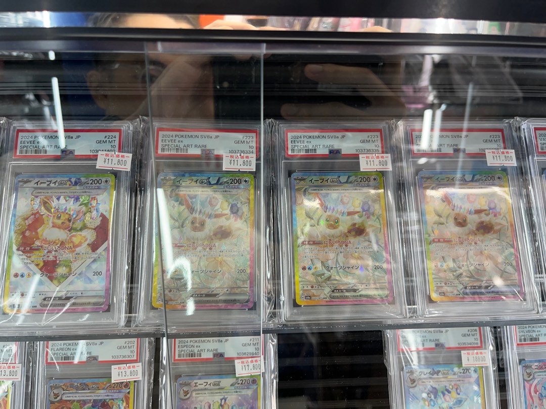 Pokemon Cards Terrestrial Festival NOT Prismatic Evolutions Eevee SAR ...