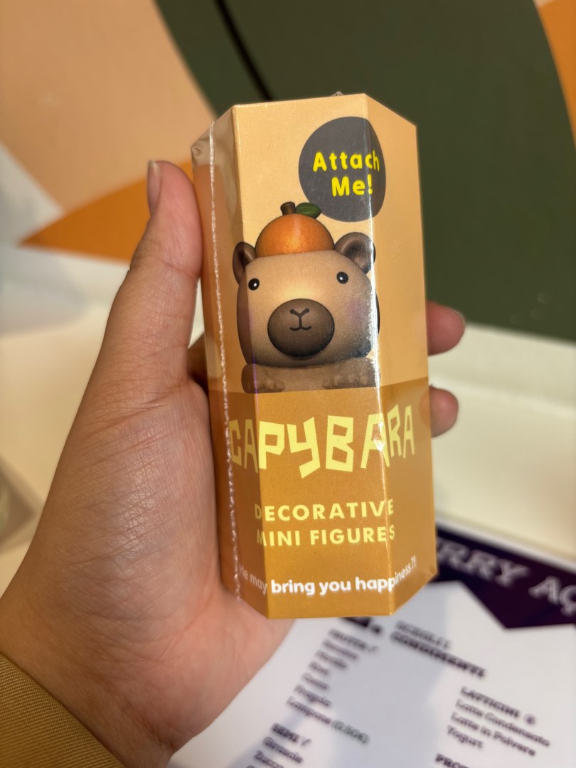 Capybara Hippers, Hobbies & Toys, Memorabilia & Collectibles, Fan ...