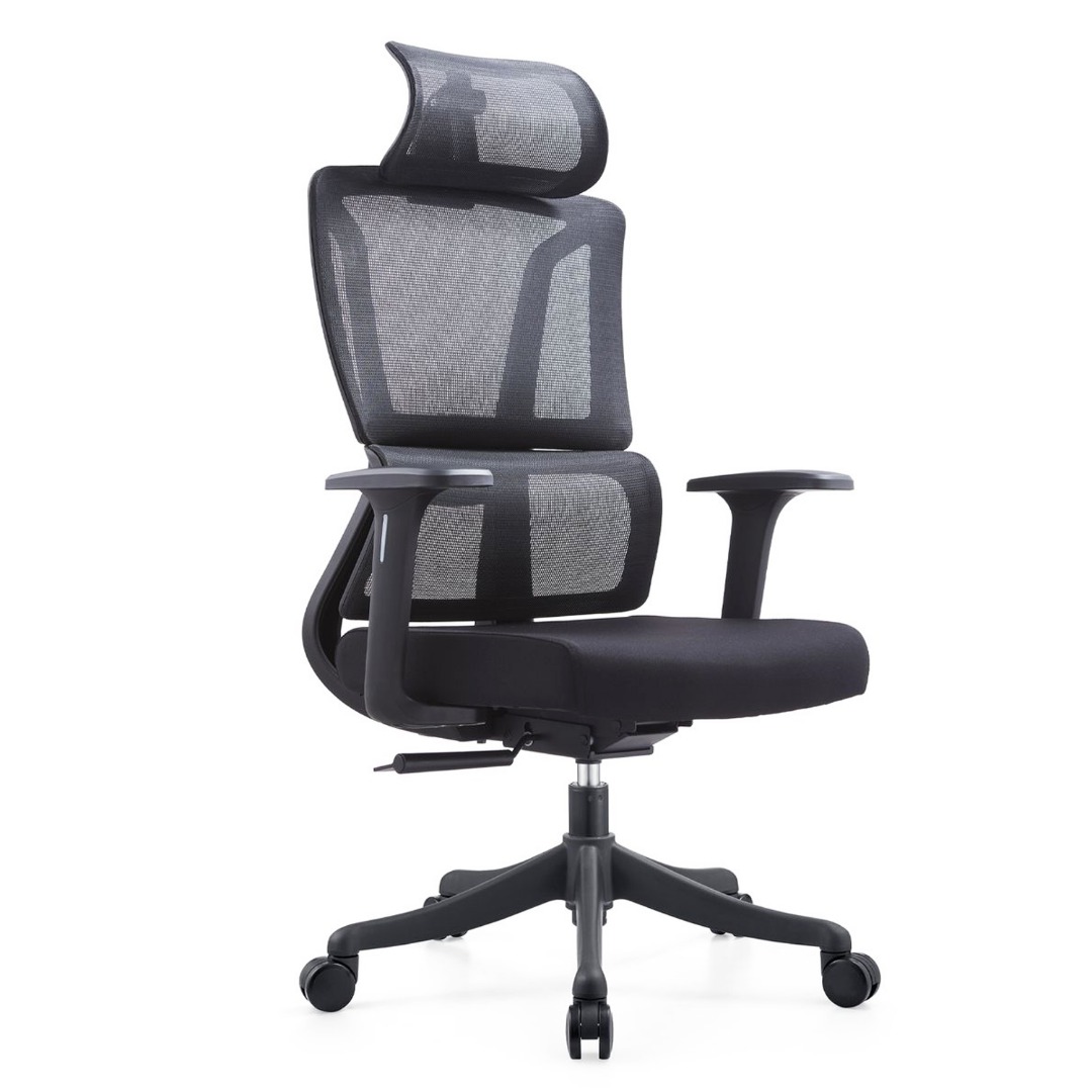 Ergodynamic Human Korean High-back Mesh Chair, Furniture & Home Living ...