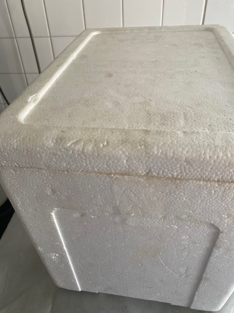 Styrofoam box for ice, Furniture & Home Living, Kitchenware & Tableware ...