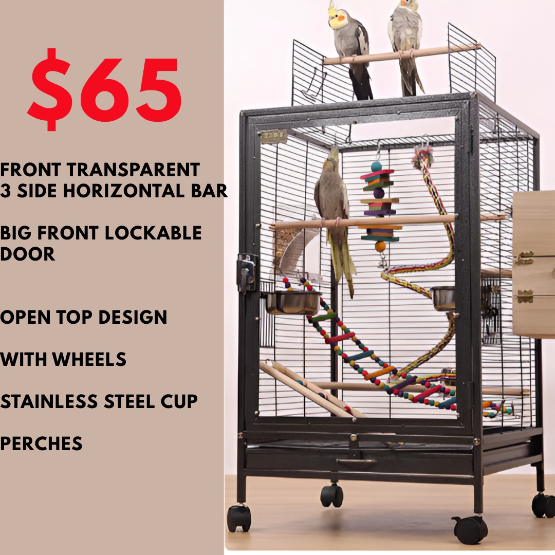 Bird Cage | Parrot Cage | $65 Transparent Front Bird Cage with Side ...