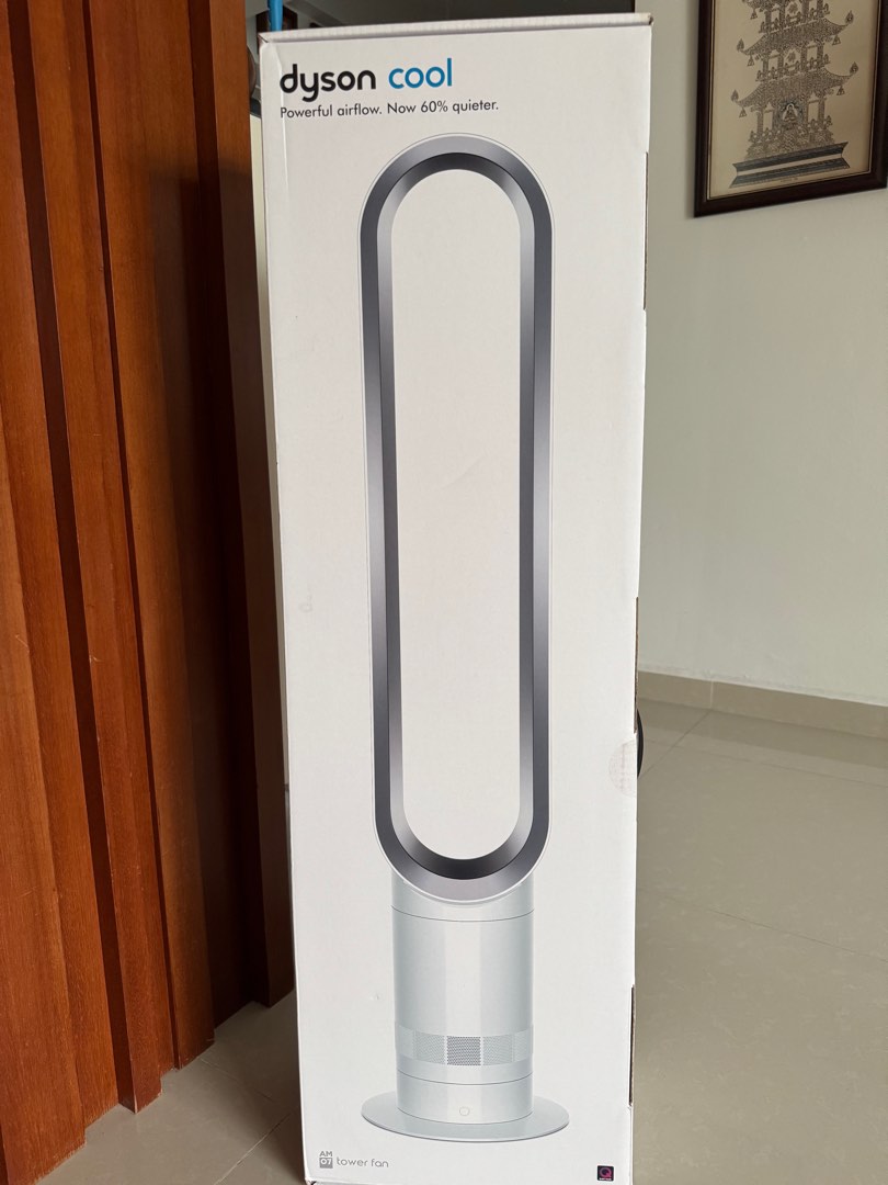 Dyson stand fan, TV & Home Appliances, Other Home Appliances on Carousell