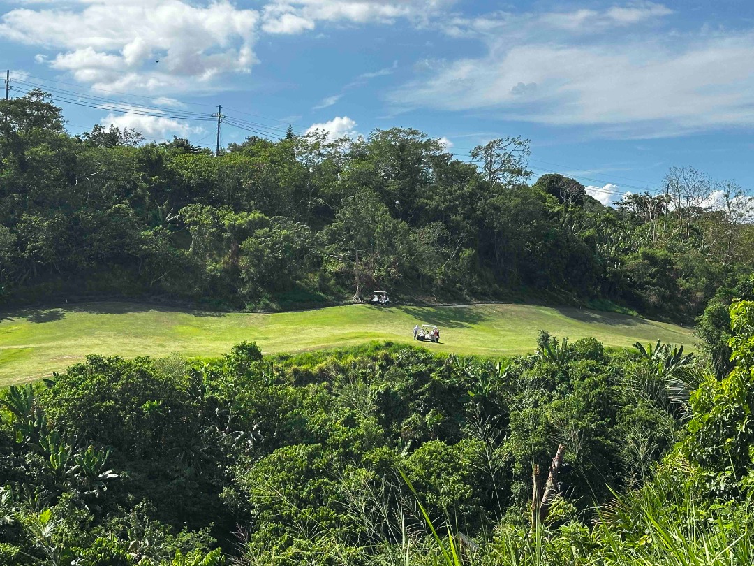 For Sale Rare GOLF Fairway View Ayala Westgrove Heights Silang Cavite ...