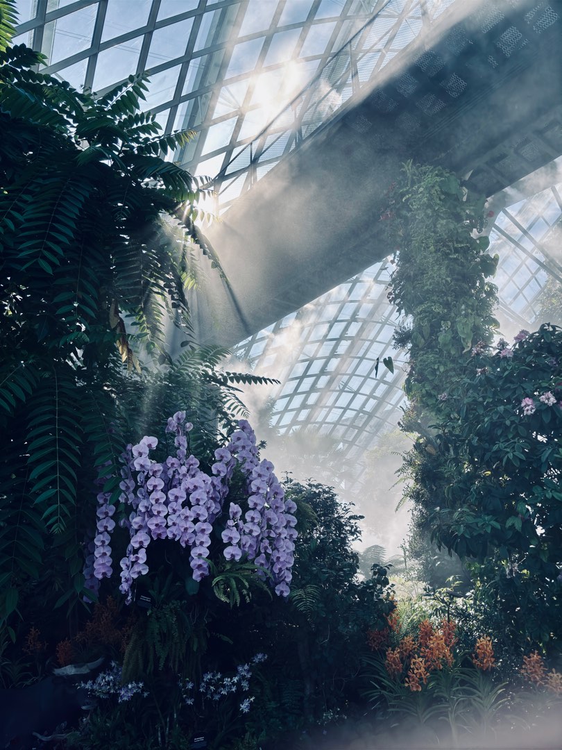 GARDENS BY THE BAY E- TICKET Flower Dome + Cloud Forest, Tickets ...