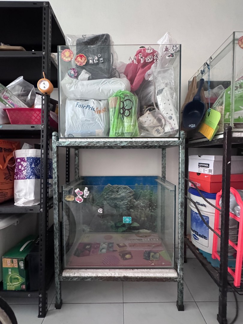 X2 Glass Fish tank 60.5cm(L) x 38.5cm(B) x 46cm (H), Pet Supplies ...