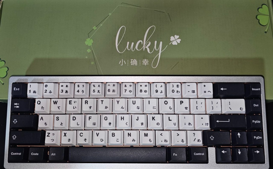 Lucky65 V2 (Silver) Aluminium Custom Mechanical Keyboard, Computers ...