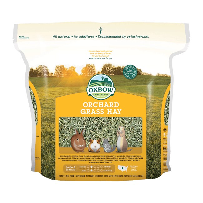 Oxbow Orchard Hay and Oxbow Senior Rabbit Food, Pet Supplies, Pet Food ...