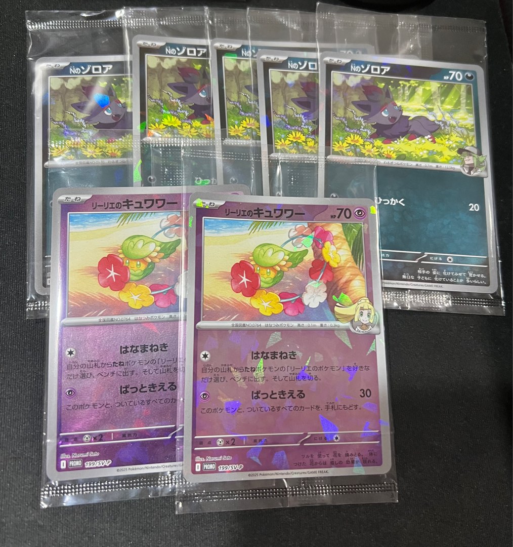 Pokemon Japanese N and Lillie Collection File Sealed Promo, Hobbies ...