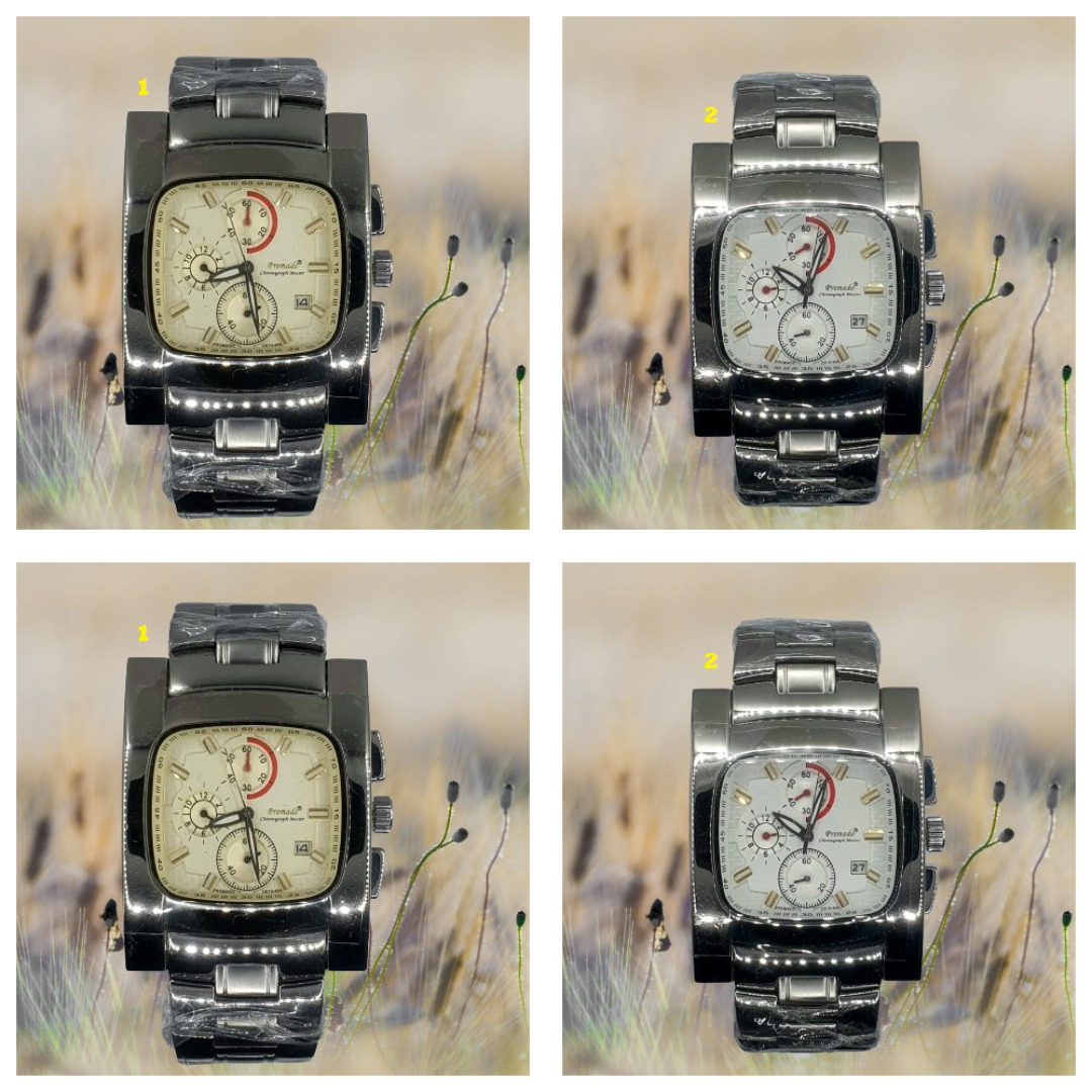 Promado Chronograph STG454 Stainless Steel Gentlemen Watch Citizen ...