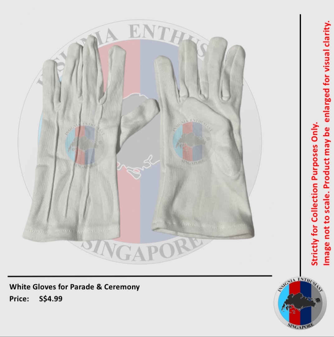 SAF | RSN | RSAF | DIS | SPF | SCDF | NCC | NPCC | NCDCC | RED CROSS ...