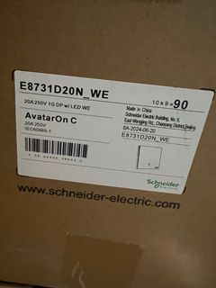 Schneider 1P 40A MCB, 家庭電器, 轉插器及插頭 - Carousell