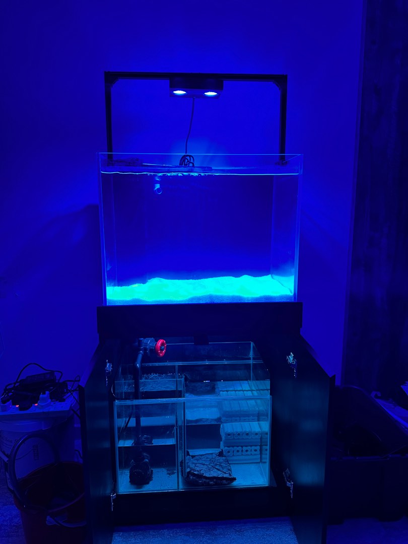 2 Feet Fish Tank With Sump, Pet Supplies, Homes & Other Pet Accessories ...