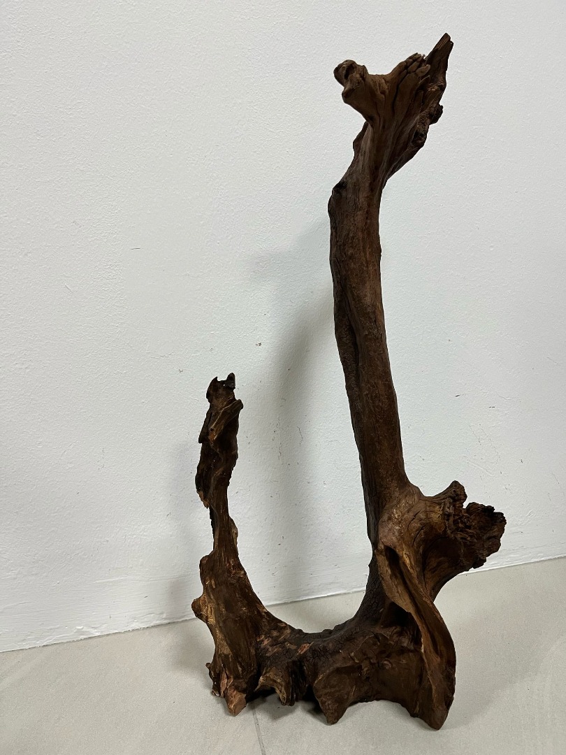 Aquarium Driftwood Fish Tank Trunk Wood Altum Discus, Furniture & Home ...