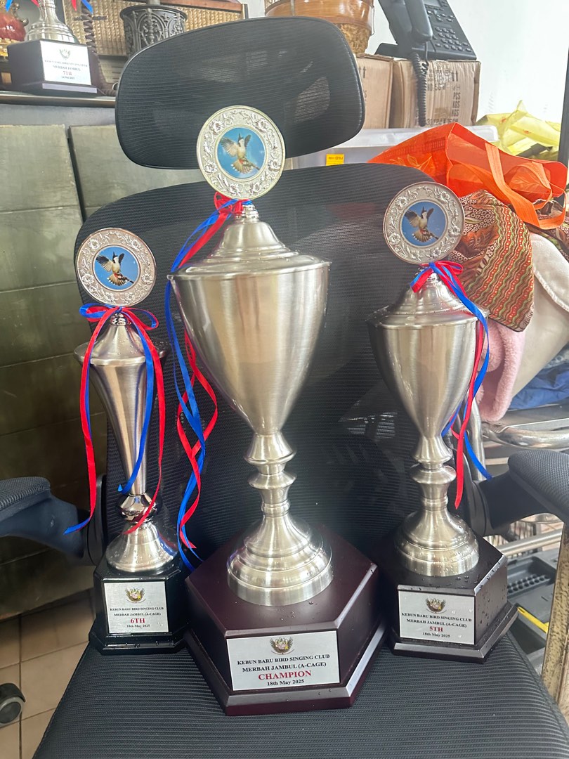 Bird trophies for sale, Furniture & Home Living, Home Decor Accessories ...