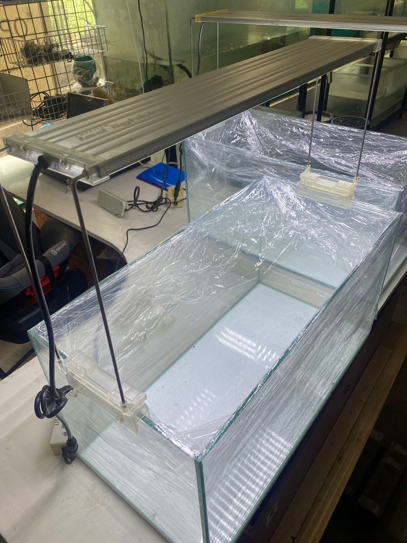 long ang shallow tank with LED light for Aquascaping, Pet Supplies ...