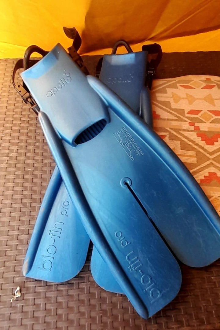 Apollo Bio fin pro diving fins japan Medium, Sports Equipment, Sports ...