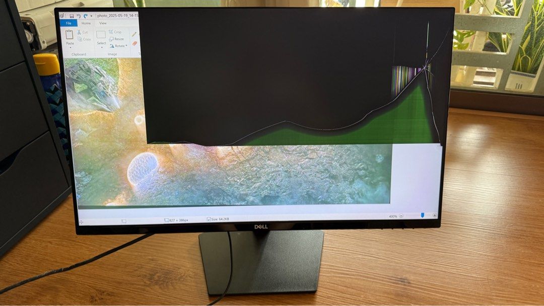 Dell 27 inch monitor, Computers & Tech, Desktops on Carousell