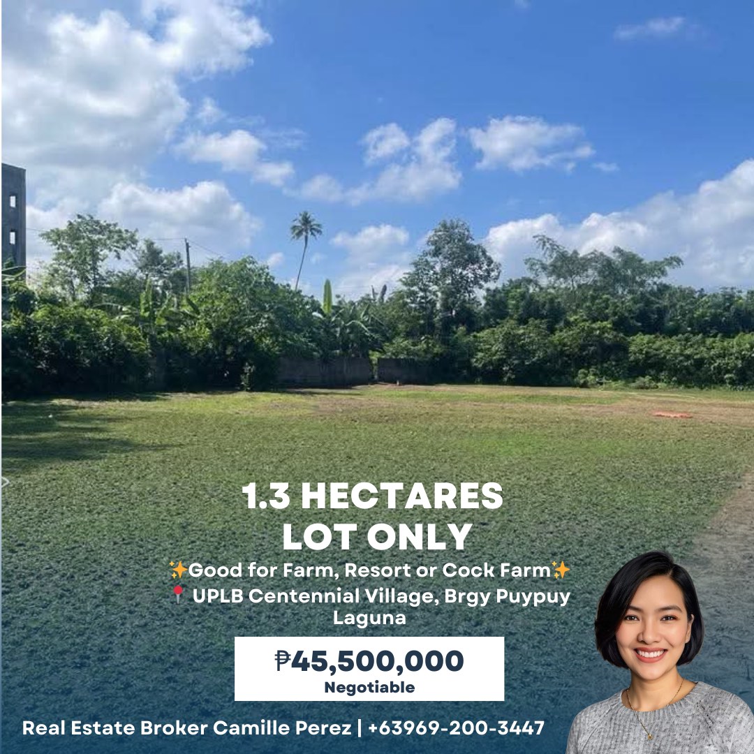 Laguna Lot only for Resort, Farm and Cock Farm | 1.3hectares 45M ...