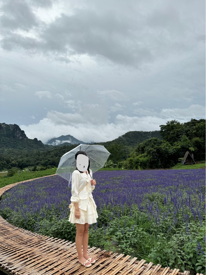 Set Dress Dolly Bow ala Korean, Women's Fashion, Dresses & Sets, Sets ...